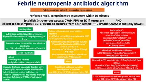 Algorithm Febrile Neutropenia In Patients With Cancer Pptx