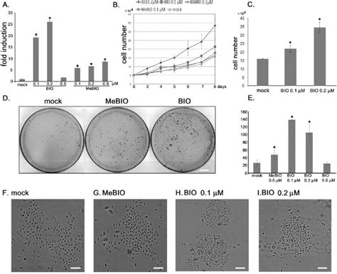 Bio Compound Enhanced Clonal Formation Of Human Primary Keratinocytes