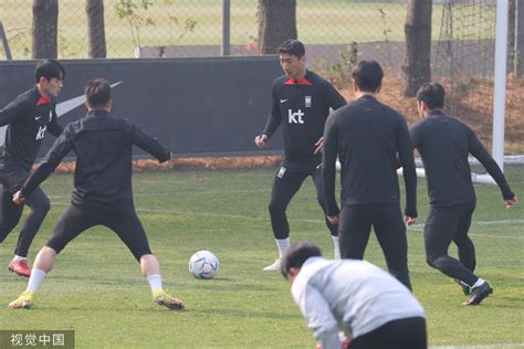 高清图：韩国队备战世界杯 主帅大秀蝎子摆尾绝技 搜狐大视野 搜狐新闻