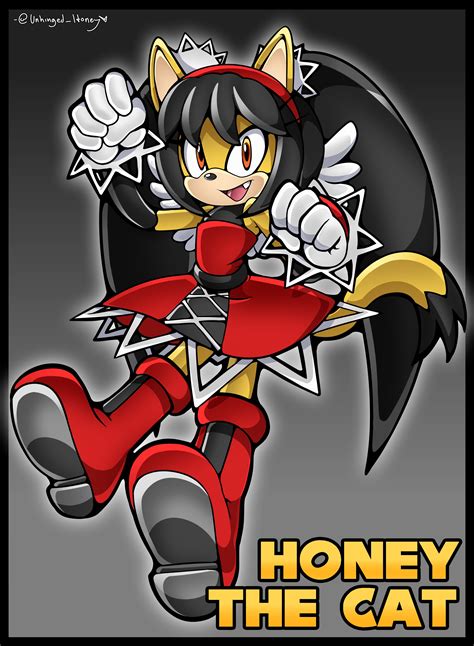 Sonic Honey The Cat 3666 Safe Artistcylent Nite Honey The Cat