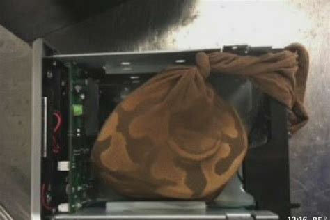 Tsa Finds Python Inside Checked Bag At Miami Airport Nation And World