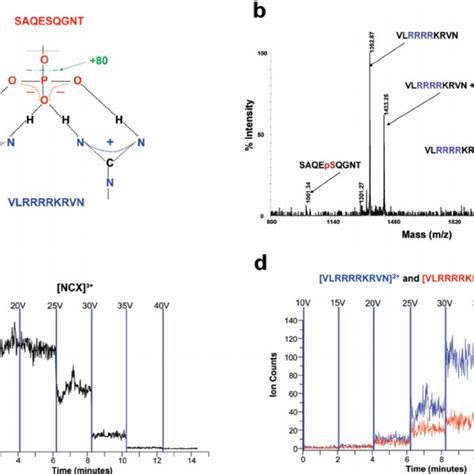 Mass Spectrometric Collision Induced Dissociation Cid Of The Ncx