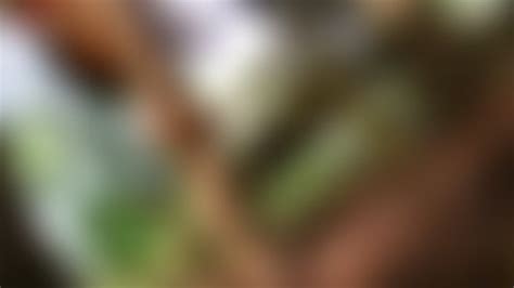 Bug Crush Porn Videos Clips Sale