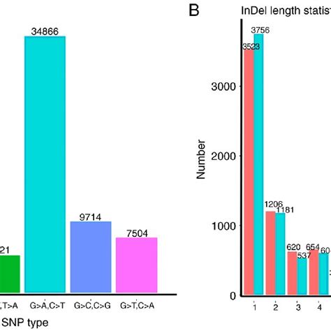 SNP Types And Distribution Of Indel Lengths A SNP Types And B Download Scientific Diagram