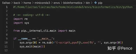 【已解决】bug20 Xxxpip Xxxpython Bad Interpreter No Such File Or Directory 知乎