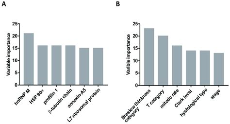 Variable Importance Based On The Strength Of Association With The