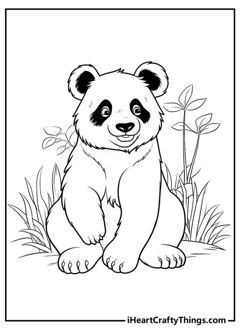 Giant Panda Coloring Sheet