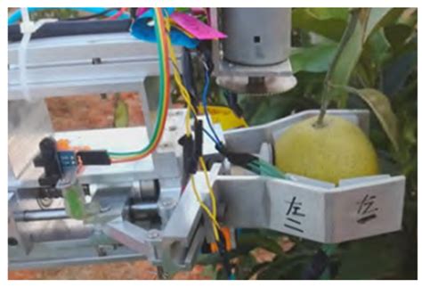 Key Technologies For Autonomous Fruit And Vegetable Picking Robots A