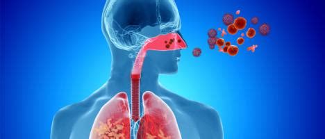 Juegos De Ciencias Juego De Enfermedades Del Sistema Respiratorio