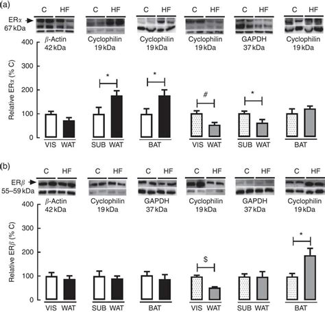 Perinatal Maternal High Fat Diet Induces Early Obesity And Sex Specific