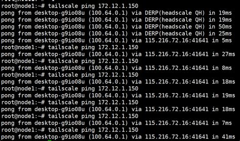 Tailscale部署私有derp中继服务器 Qs Blog