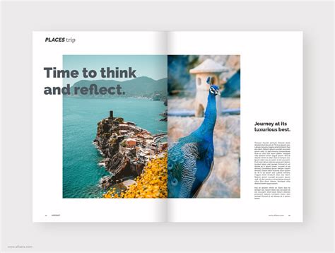 Magazine Template Alfaera Coreldraw Graphic Design Templates