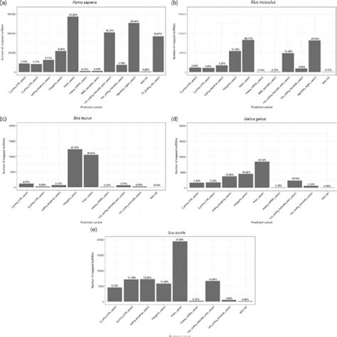 Genomic Annotation Of Long Non Coding Rna Genes From The Noncode