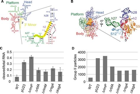 Figures And Data In A Combined Quantitative Mass Spectrometry And