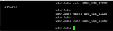 Database Unavailable HDB Connectivity Issue Pa SAP Community