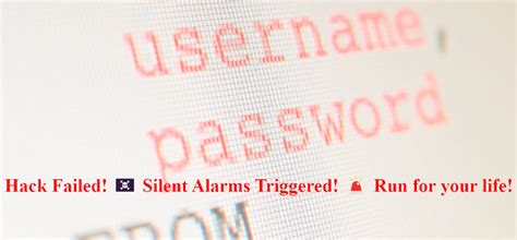 Exploring Cybersecurity Vulnerabilities On A Mock Hacking Simulated Website By Ryan Nov