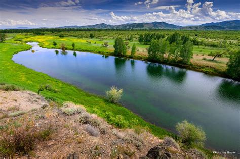 Он гарсаар гол усны 81 осол гарч 80 хүн энджээ Mand Mn