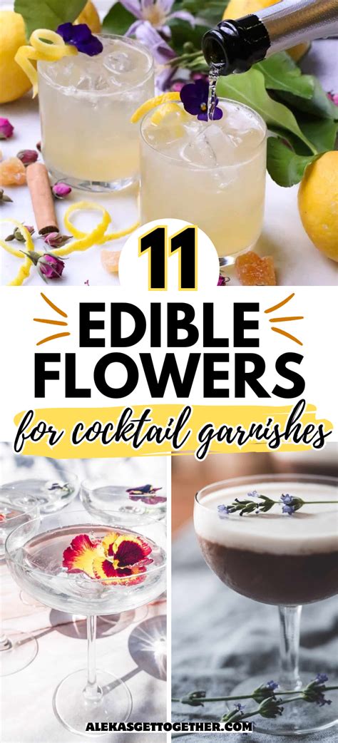 11 Edible Flowers For Cocktail Garnishes In 2024 Cocktail Garnish