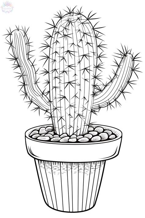 Cacto Para Colorir De 25 Desenhos Para Imprimir E Pintar