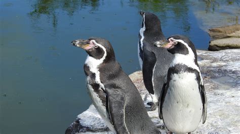 Futex 2 Linux Kernel Bekommt Komplett Neue Thread Synchronisation