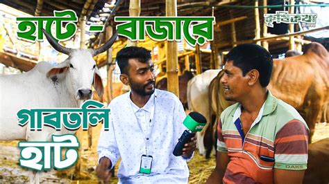 কেমন দামে গরু পাবেন গাবতলী হাটে । গরুর হাট । হাটে বাজারে Youtube