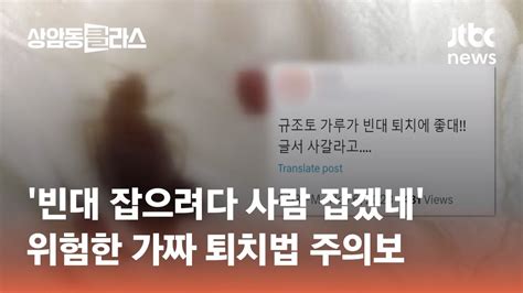 빈대 잡으려다 사람 잡겠네 위험한 가짜 퇴치법 주의보 광클e뉴스 Jtbc 상암동 클라스 Youtube