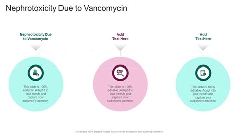 Nephrotoxicity Due To Vancomycin In Ppt Powerpoint Presentation Slide