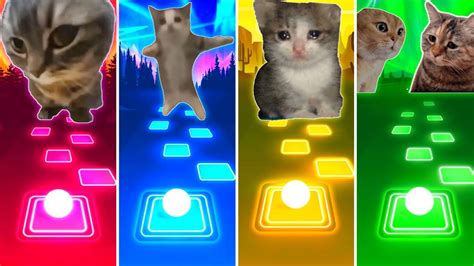 Chipi Chipi Chapa Chapa Cat Vs Happy Happy Happy Cat Vs Sad Cat Vs