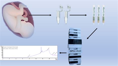 Amniotic Fluid Sample