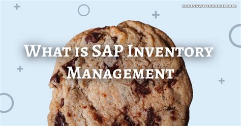 Sap Inventory Management Coding With Cookie