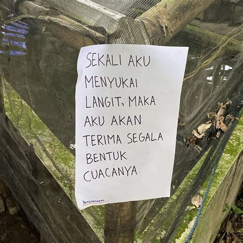 Sanggup Di Kutipan Pelajaran Hidup Desain Skateboard Motivasi
