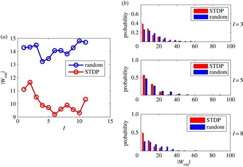 Biological Modelling Of A Computational Spiking Neural Network With Neuronal Avalanches
