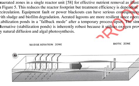 Aerobic And Anoxic Zones In Biological Contact Oxidation Units