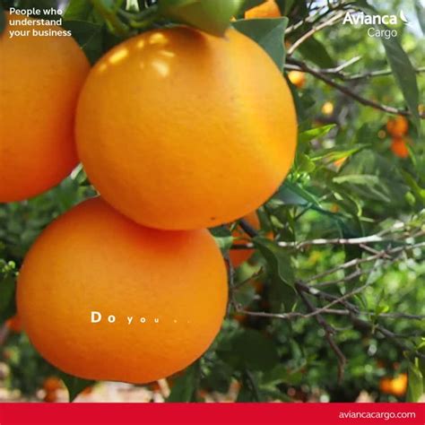 Carlos Arango Posted On Linkedin