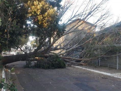 Ap S Queda De Rvore Moradores Ficam Sem Luz E Rua Bloqueada