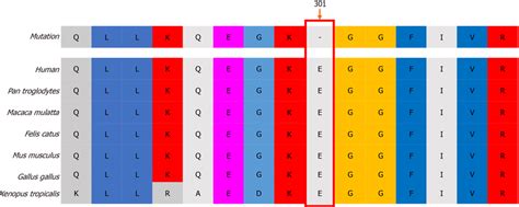 Brutons Tyrosine Kinase Sequence Conservation Analysis Amino Acid