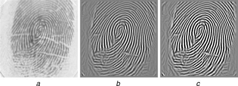 Fingerprint Image Pre‐enhancement A Original Fingerprint Image B Download Scientific