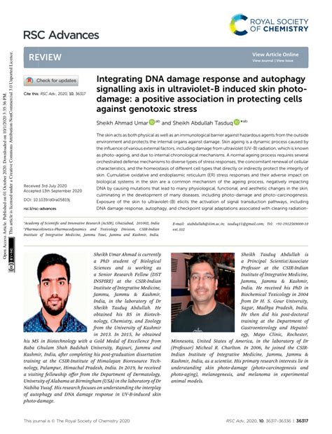 Pdf Integrating Dna Damage Response And Autophagy Signalling Axis In