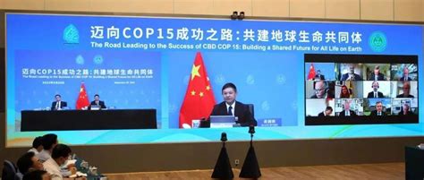 “迈向cop15成功之路：共建地球生命共同体”圆桌会成功举办多样性生物全球