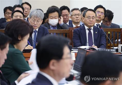 여야 전산망 먹통 행안부 질타체면 구겨 축소 은폐 나무뉴스