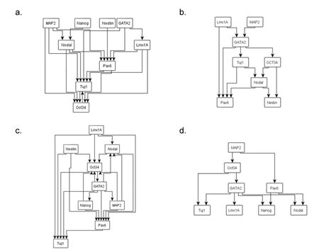 initial network models the initial models of the selected chemicals