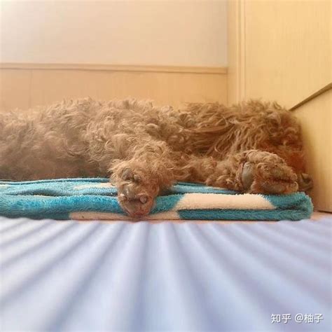 无题 知乎