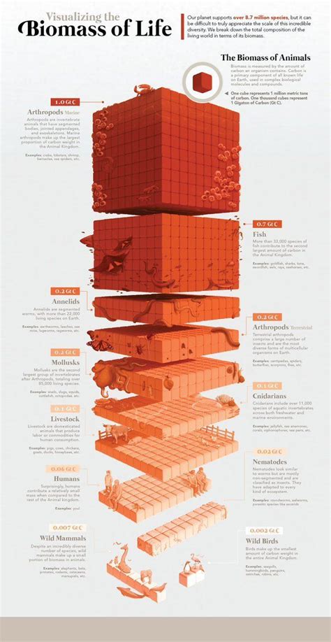 3d Data Visualization Artofit