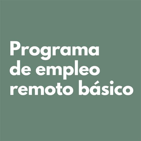 PROGRAMA DE EMPLEO REMOTO BASIC Empleoon