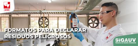 Sistema Gestión Integral Residuos Sólidos Sección De Servicios Varios