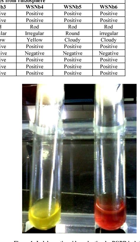 Figure 1 From Isolation And Characterization Of Indole Acetic Acid
