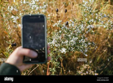 Hand Pressing Capture Button To Photograph Wildflowers In Sunny Field