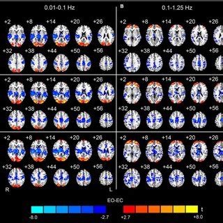 The Effect Of Global Signal Regression On The EO EC AF Differences The Download Scientific