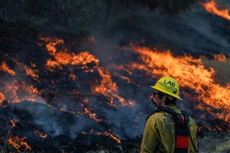 Los Incendios Forestales En California Ya Han Quemado 30 Veces Más