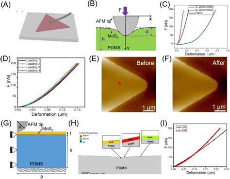 A Schematic Diagram Of The Tested Model By Afm Nanoindentation B